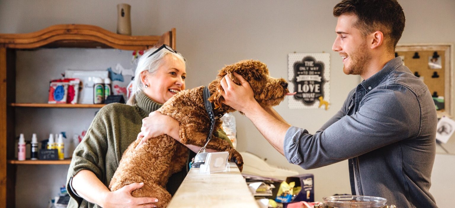 Business Loans for Veterinarians and Veterinary Practices | Moula